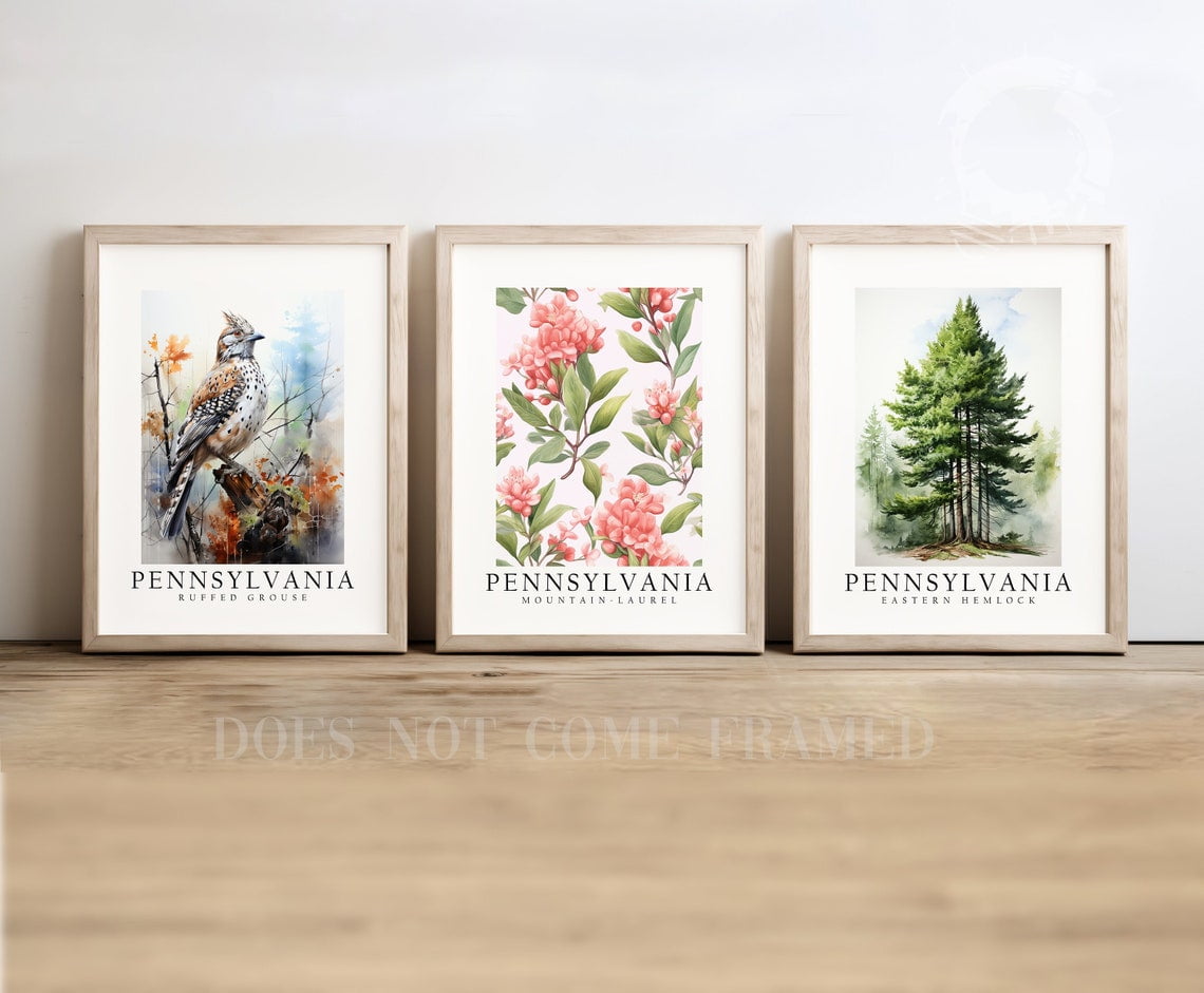 UNFFRAMED Luvia Set of 3 Pennsylvania State Symbols Poster, Ruffed ...