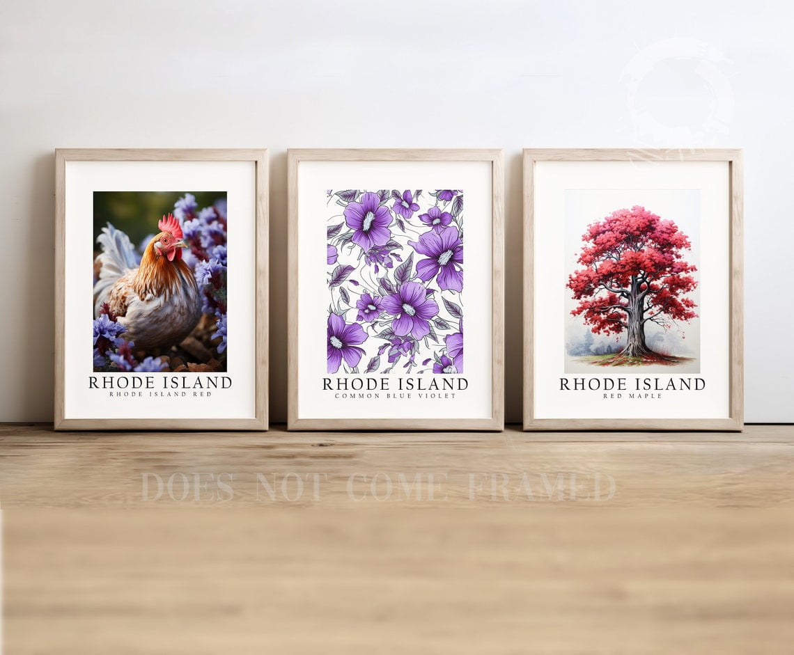UNFFRAMED Luvia Set of 3 Rhode Island State Symbols Poster, Rhode ...