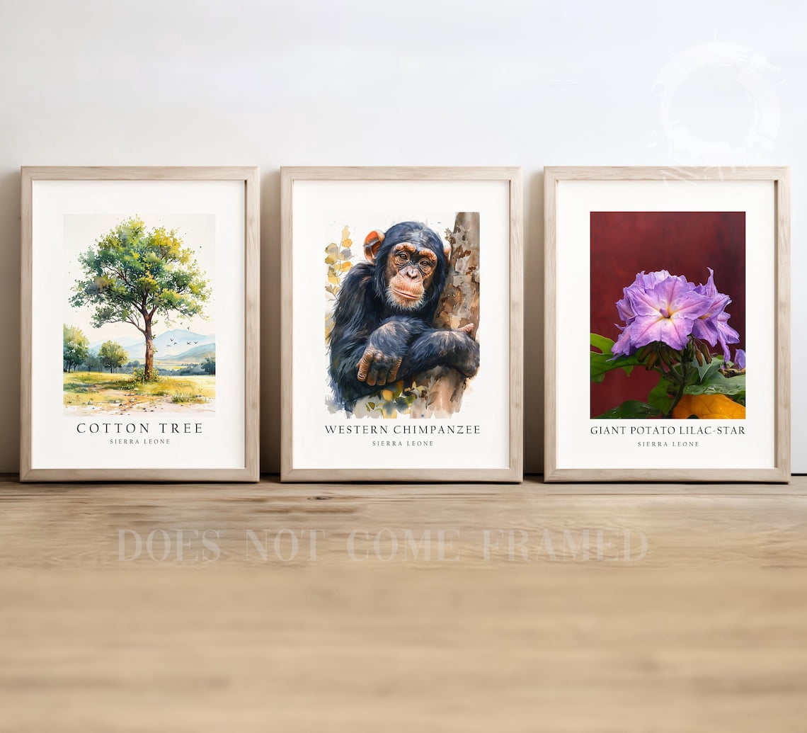 UNFFRAMED Luvia Set of 3 Sierra Leone National Symbols Poster Wall Art ...