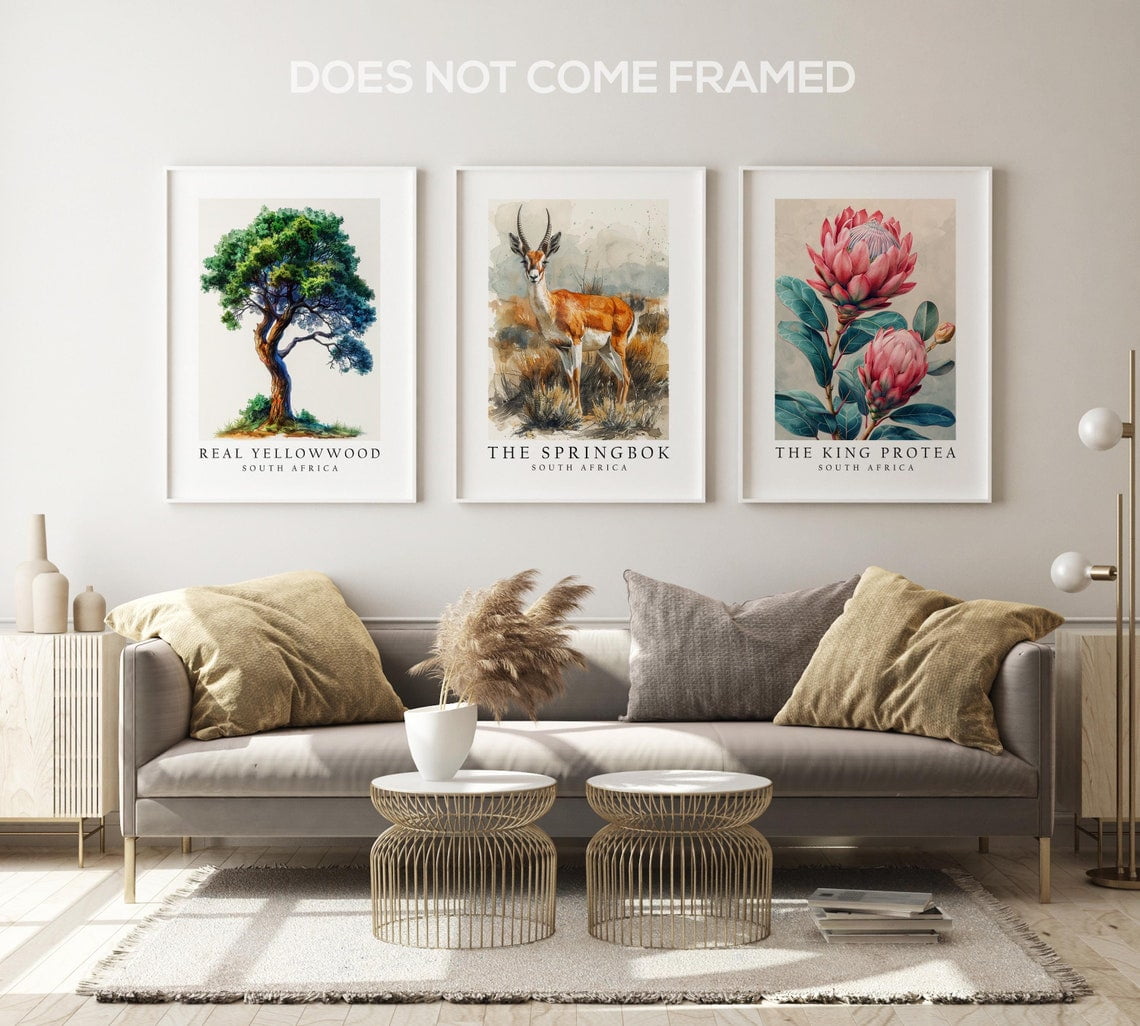 UNFFRAMED Luvia Set of 3 South Africa National Symbols Poster Wall Art ...