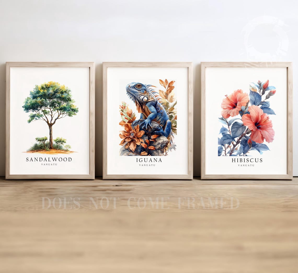 UNFFRAMED Luvia Set of 3 Vanuatu National Symbols Poster Wall Art ...