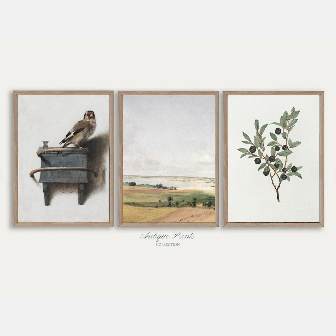 UNFFRAMED Neutral Countryside Set Vintage Posters, Antique Still Life ...