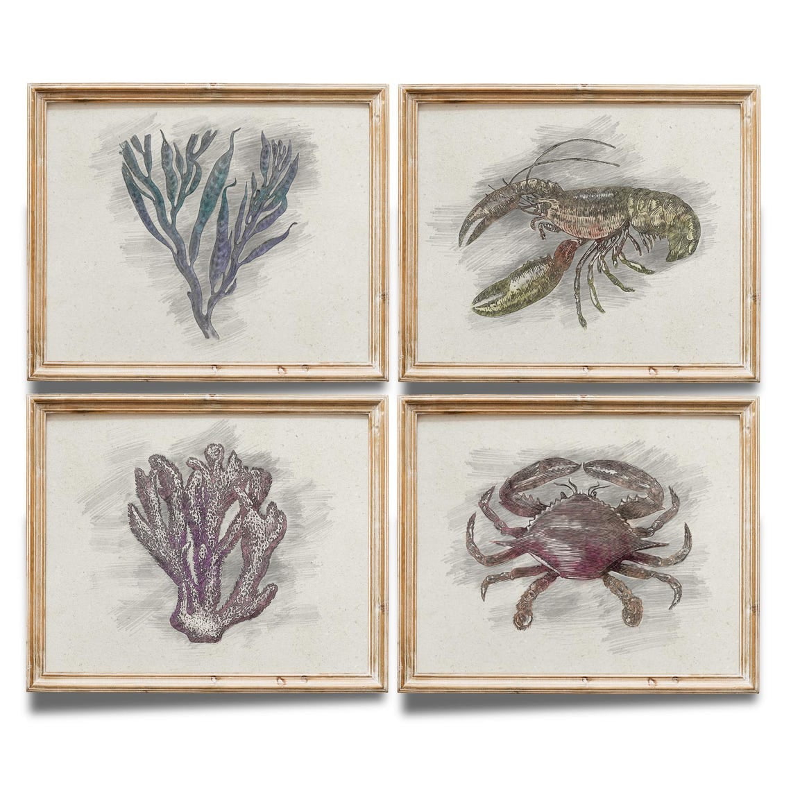 UNFFRAMED Ocean Life Sketches Art Posters Set Set 4 Prints 8x12 ...