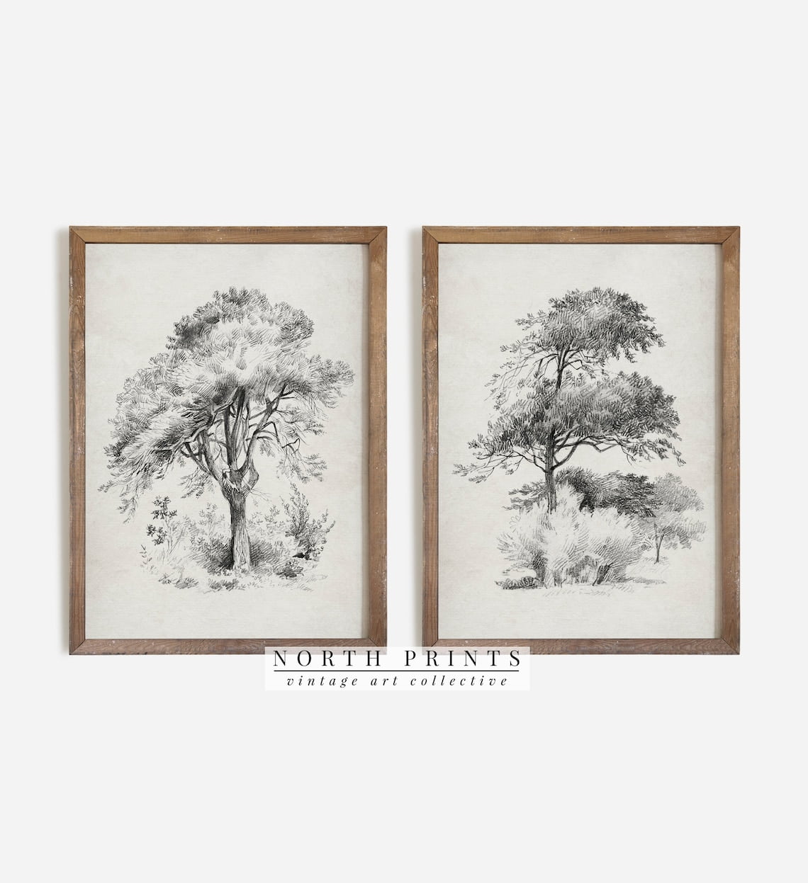 UNFFRAMED Rustic Tree Sketch Poster Set: Vintage Landscape Art S2-76 ...