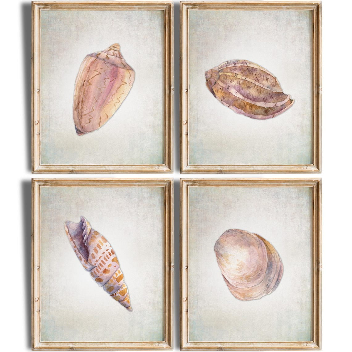 UNFFRAMED Seashell Art Posters Set Coastal Beach Wall Decor Set 4 ...