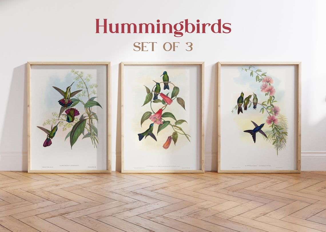 UNFFRAMED Vintage Bird Set Of 3, Hummingbird Poster Set Of 3, Vintage ...