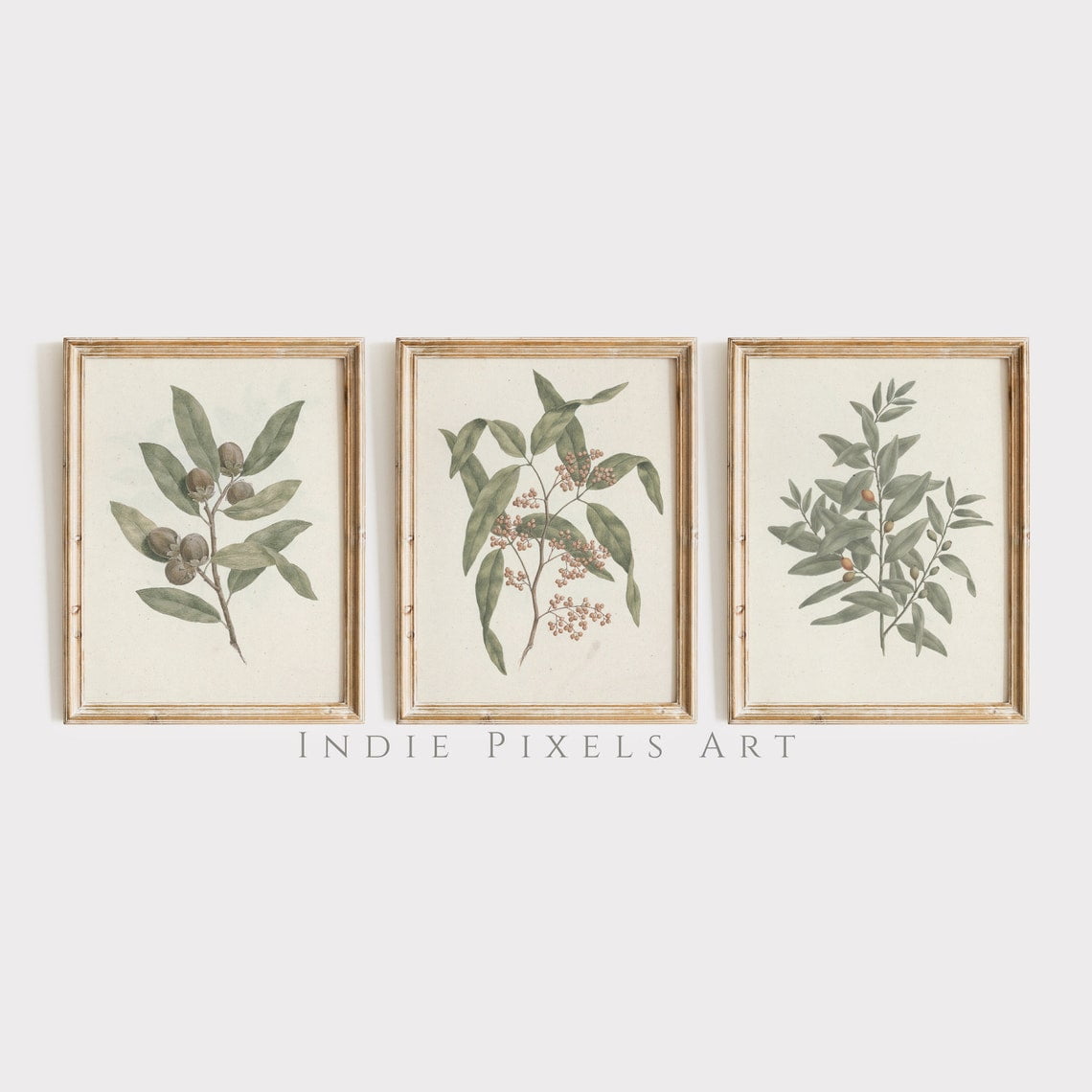 UNFFRAMED Vintage Botanical Posters Set, Neutral Farmhouse Wall Art Set ...