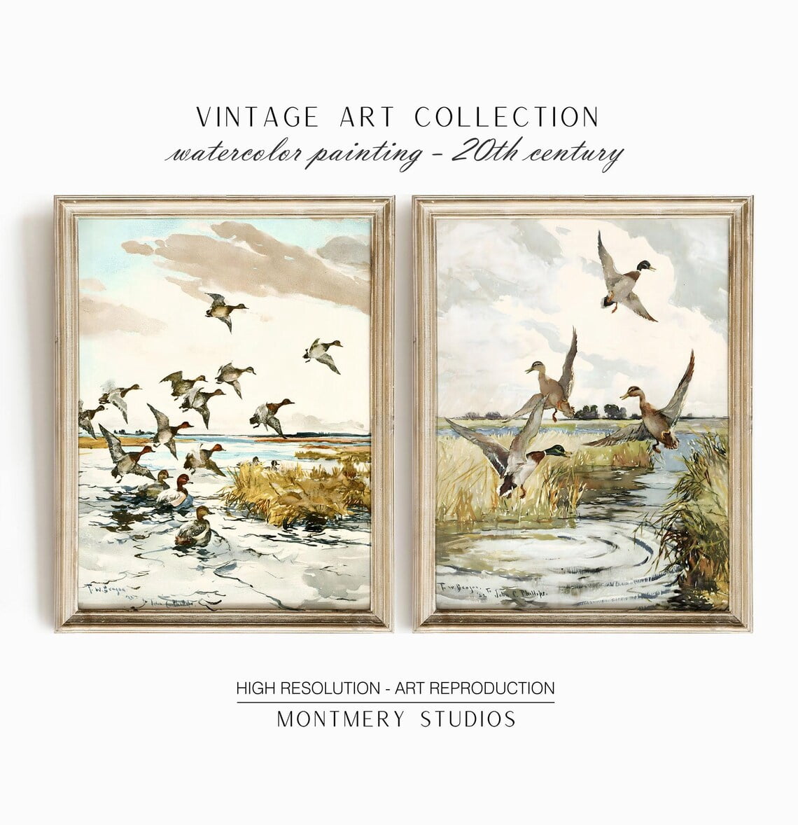 UNFFRAMED Vintage Duck Art Posters, Set Of 2, Rustic Farmhouse Wall ...