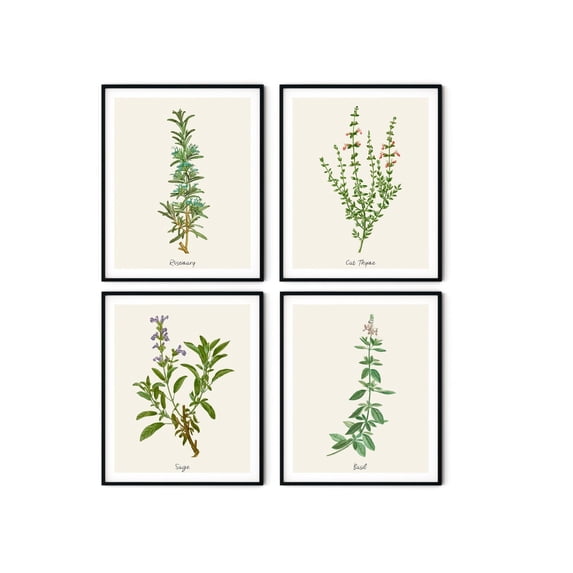 UNFFRAMED Vintage Herb Botanical Prints, Farmhouse Kitchen Wall Art Set ...