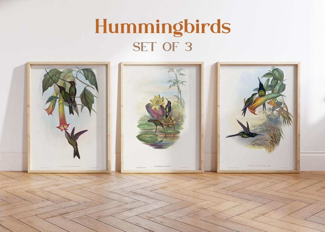 UNFFRAMED Vintage Hummingbirds Gallery Wall Set, Hummingbirds Art ...