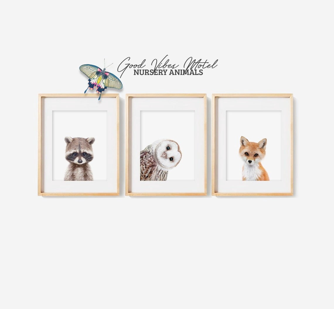 UNFFRAMED Woodland Animal Posters For Nursery Decor, Art, Set Of 3 ...