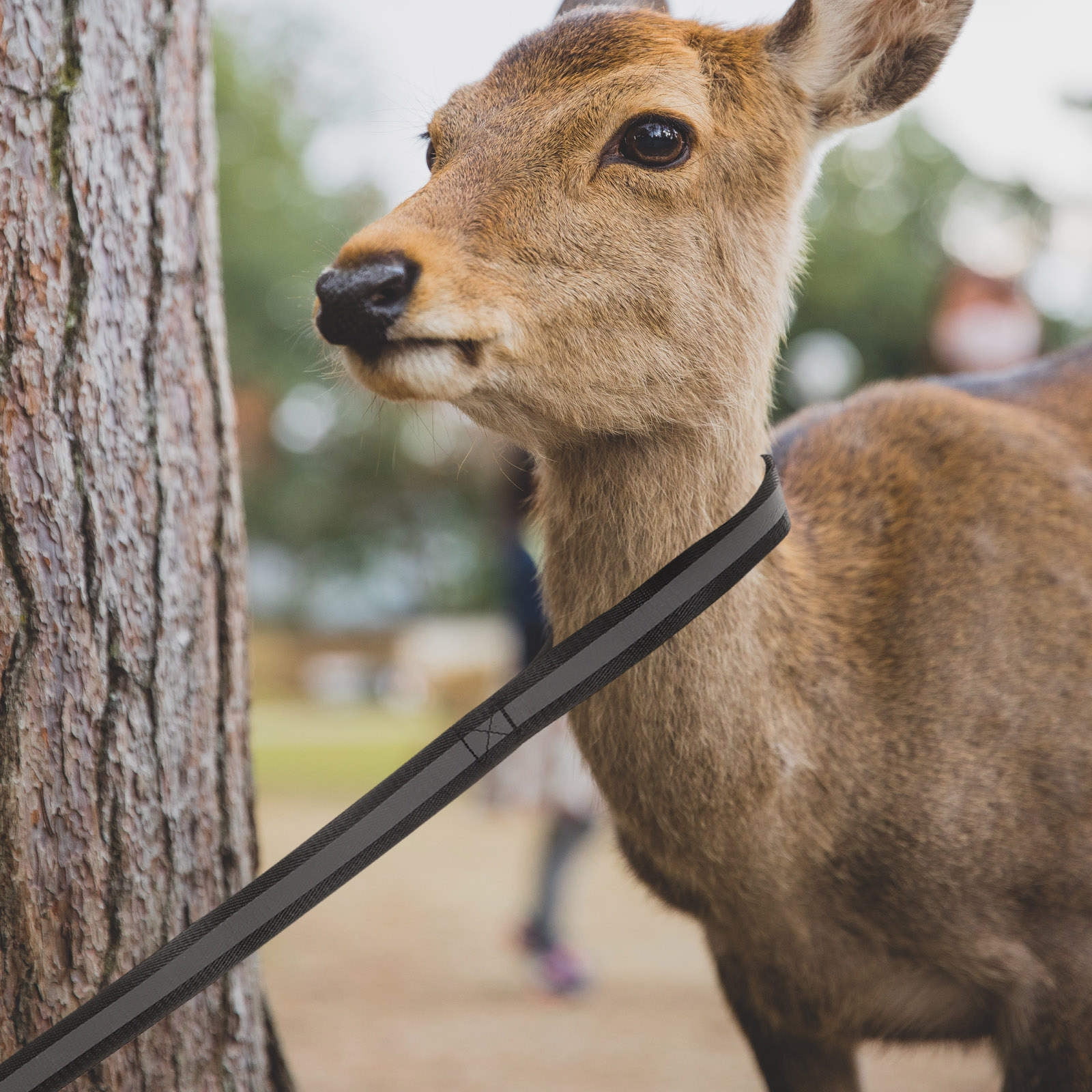 UNOMOR Daily Use Deer Dragging Rope Heavy Duty Hunting Strap For ...