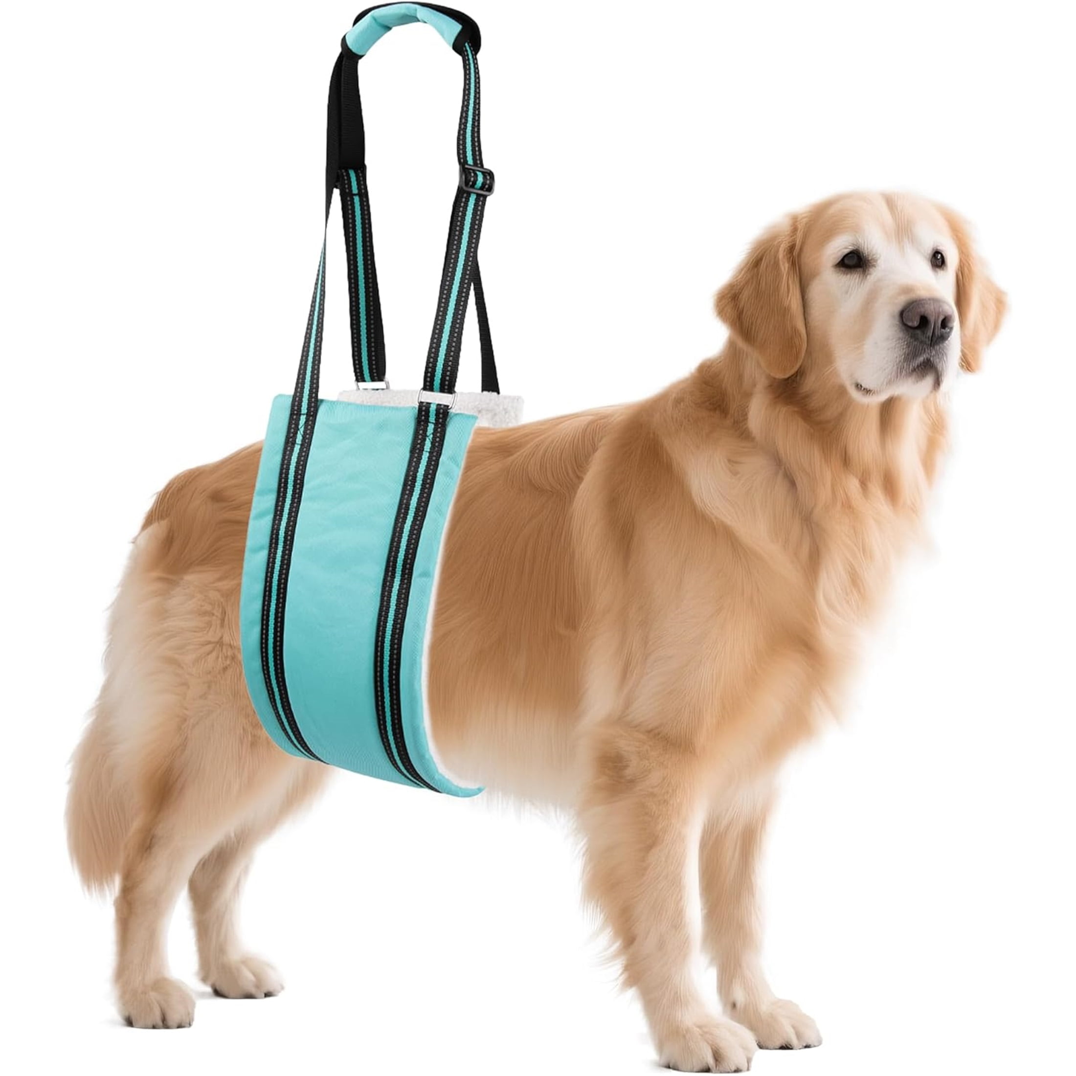 UOSIA Dog Lift Harness Medium - Hind Leg Support Sling with Hip Padding ...