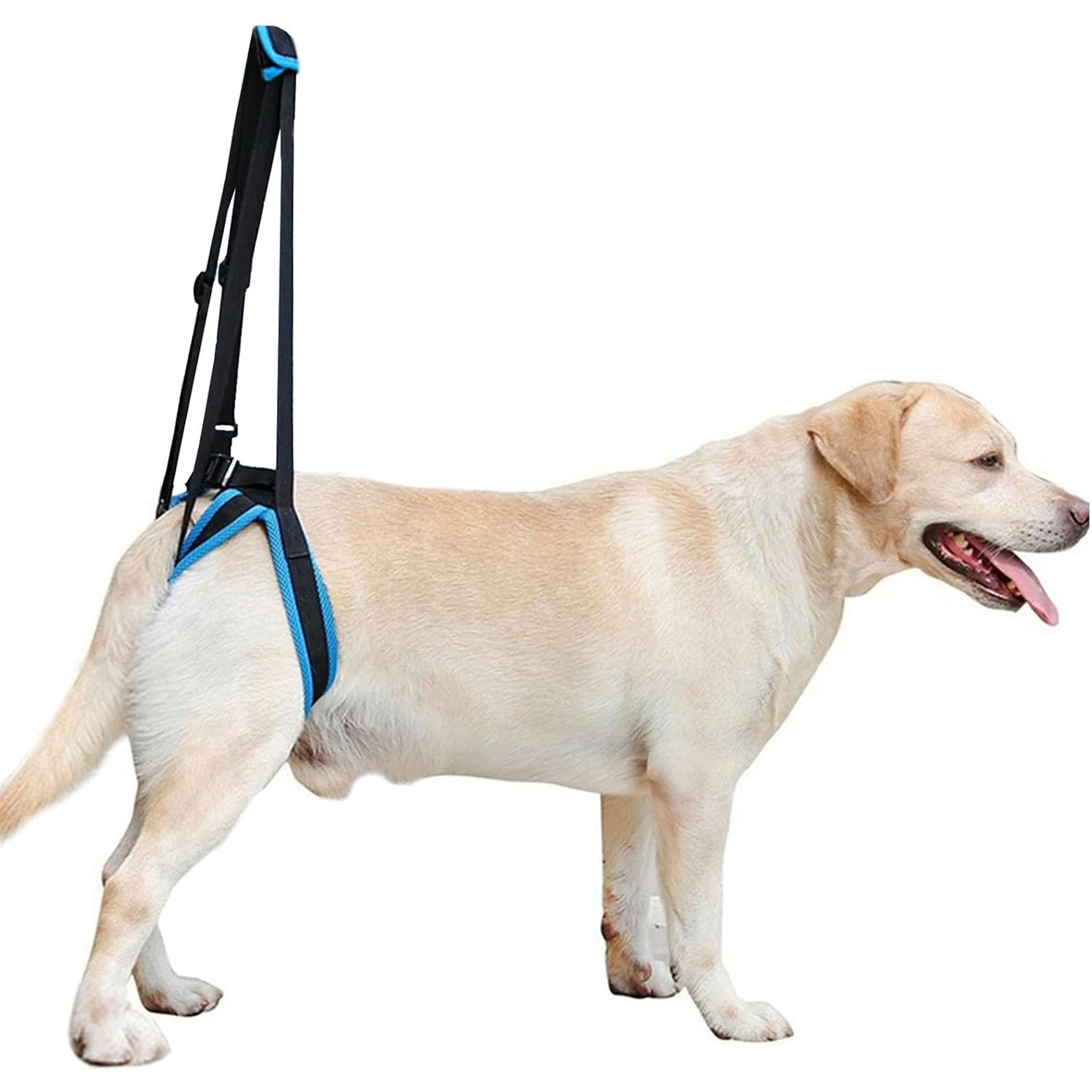UOSIA Dog Lift Harness for Back Legs Soft Breathable Dog Rear Leg Sling ...