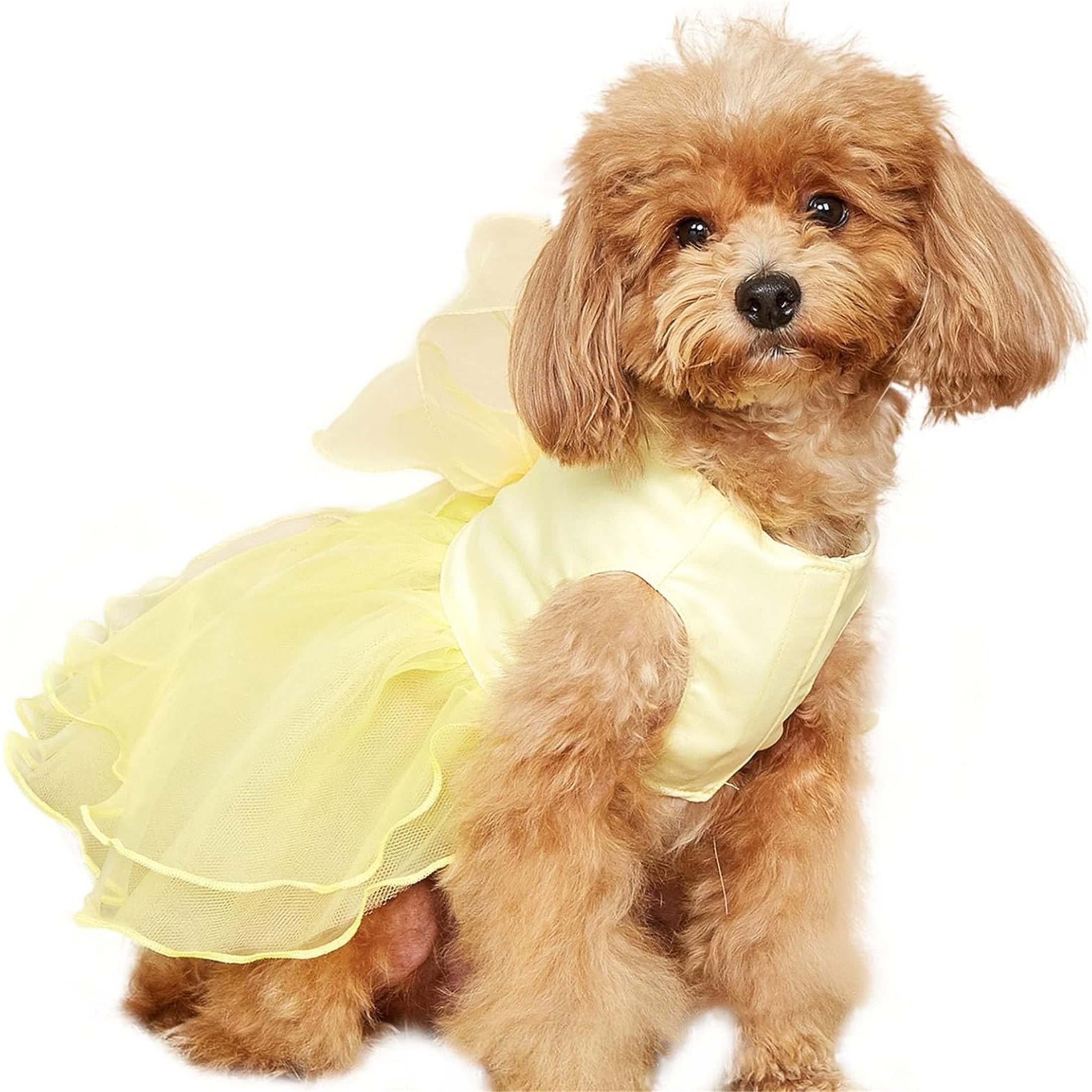 UOSIA Pet Dog Dress Girl Green Puppy Chihuahua Yorkie Tutu Skirt,L ...