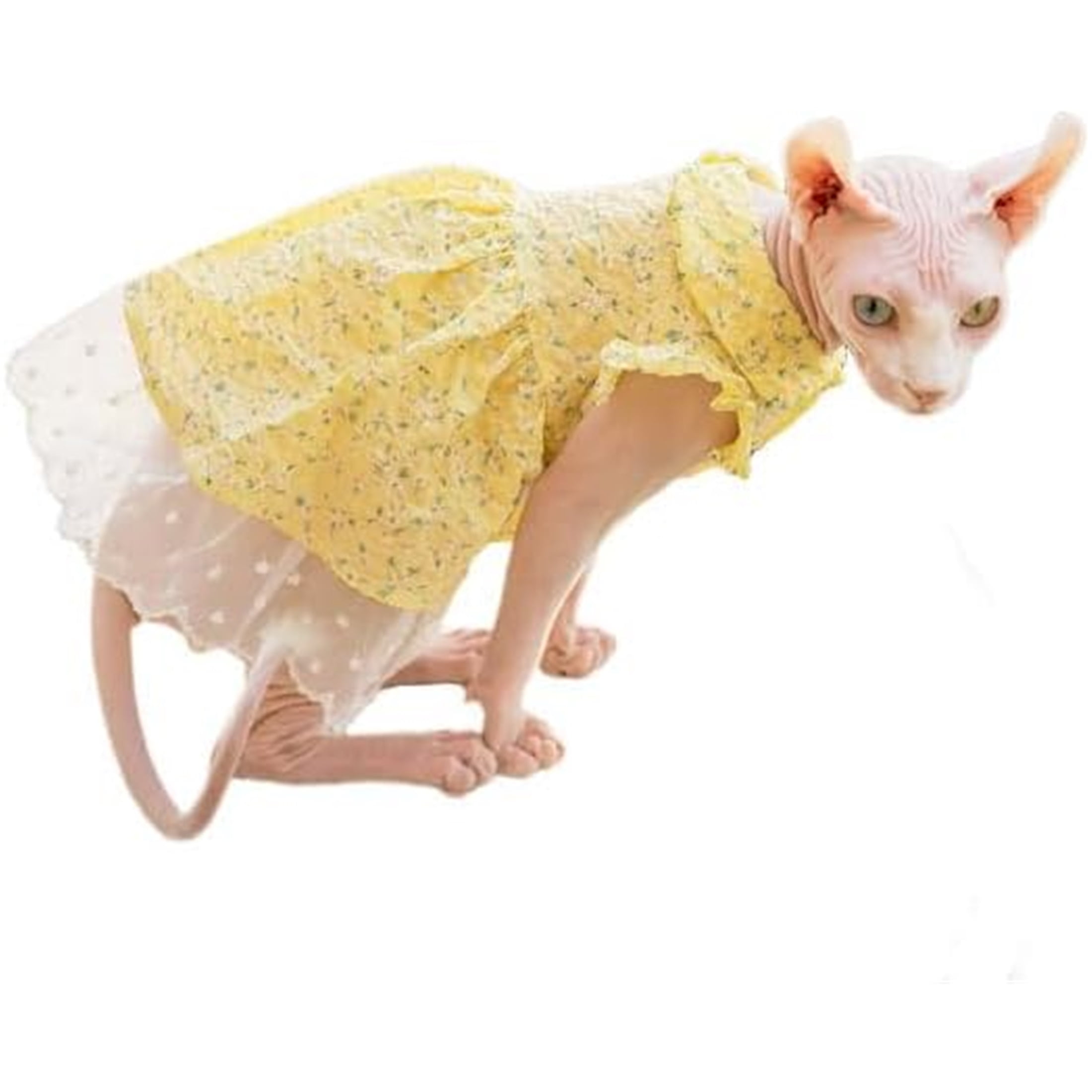 UOSIA Summer Floral Cat Dress Cute Lace Hairless Cats Princess Dress ...