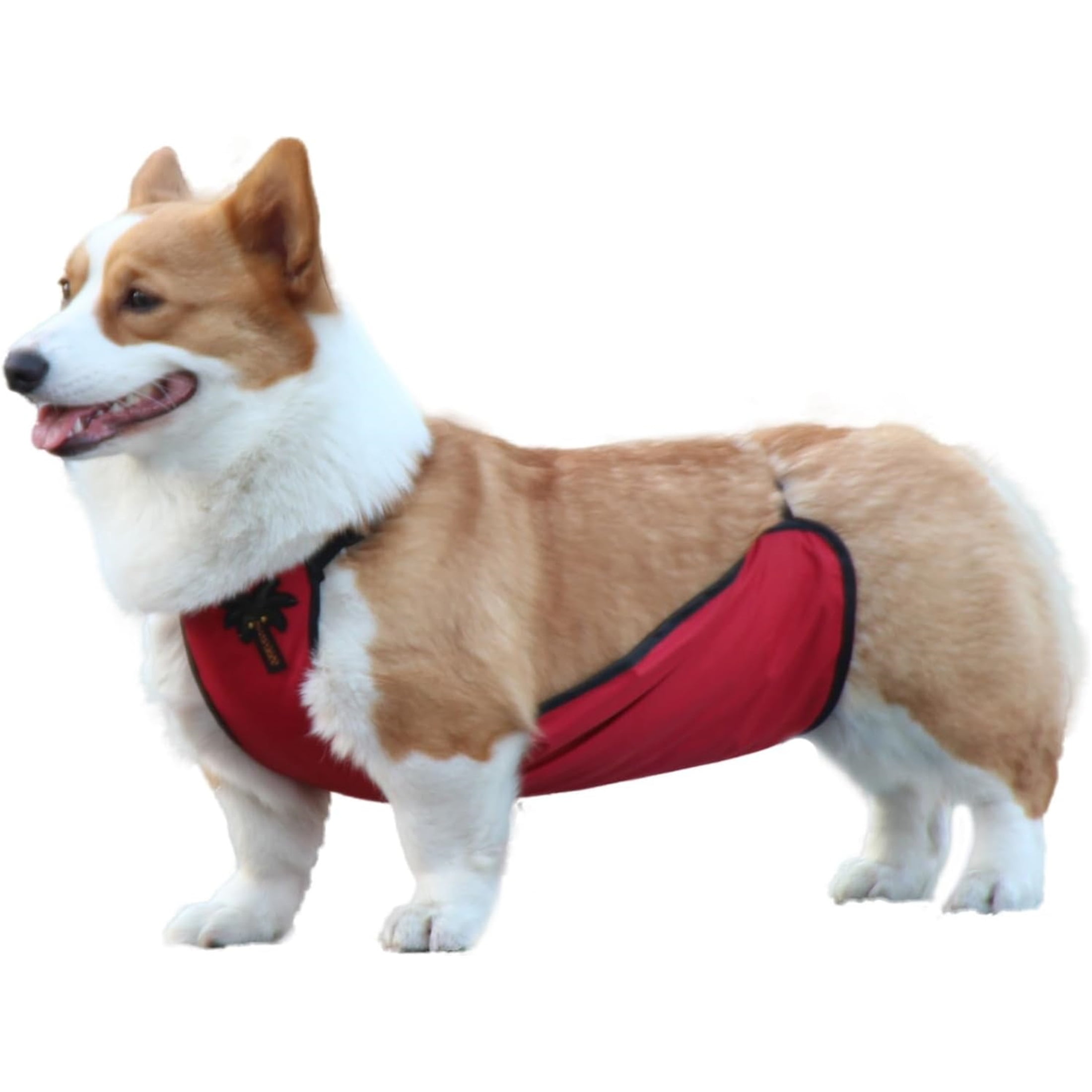 UOSIA Waterproof Dog Belly Cover Short Legged Female/Male Dog Chest ...