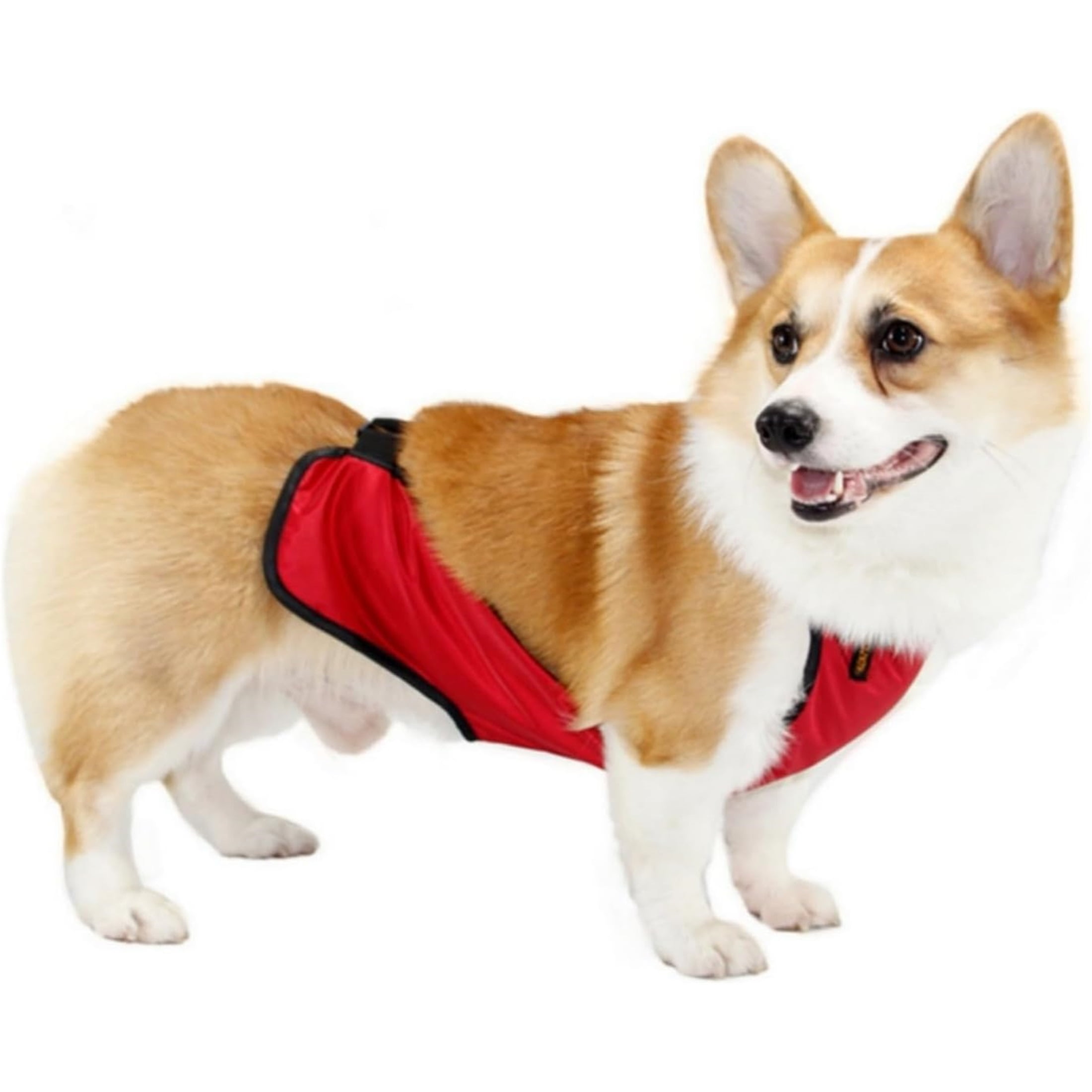 UOSIA Waterproof Dog Belly Cover Short Legged Female/Male Dog Chest ...