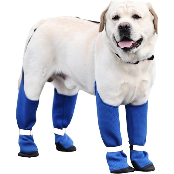 UOSIA Waterproof Dog Boots Adjustable Suspender Boots for Dogs,M/L,Blue ...