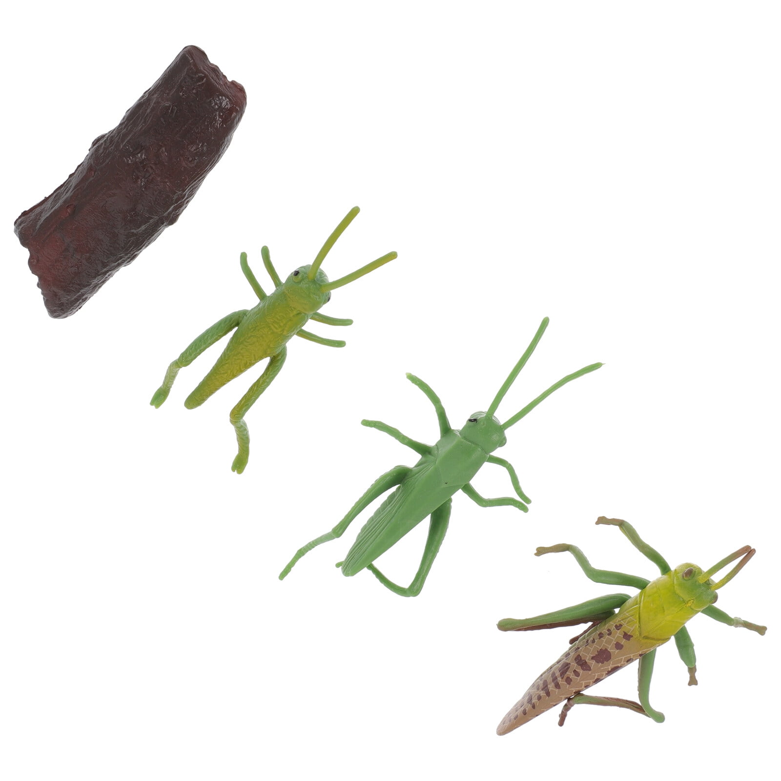 UPKOCH Green Plastic Locust Life Cycle Figure Model for Display ...