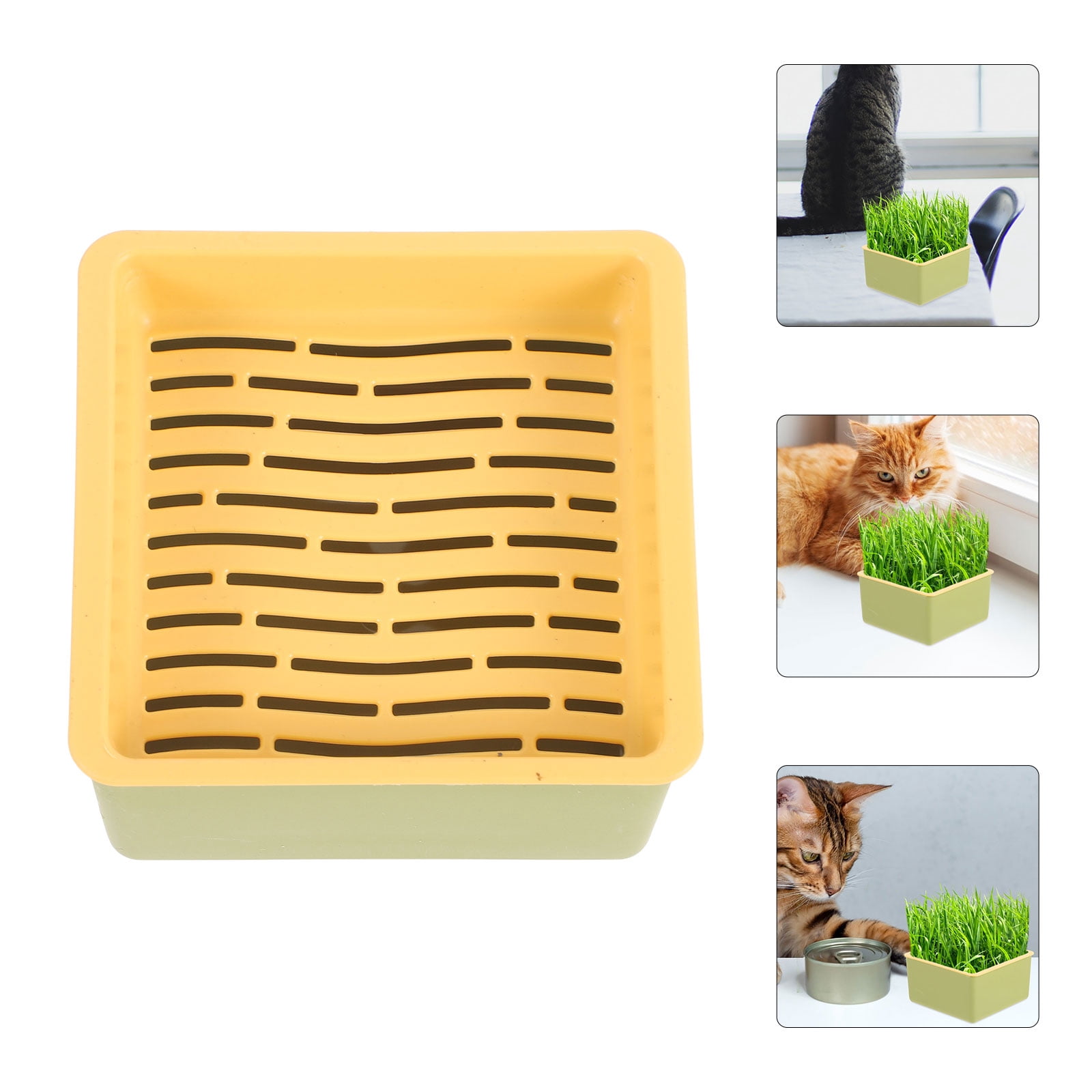 UPKOCH Hydroponic Cat Grass Planter Plastic 1Set 3.22x3.22x1.73in ...