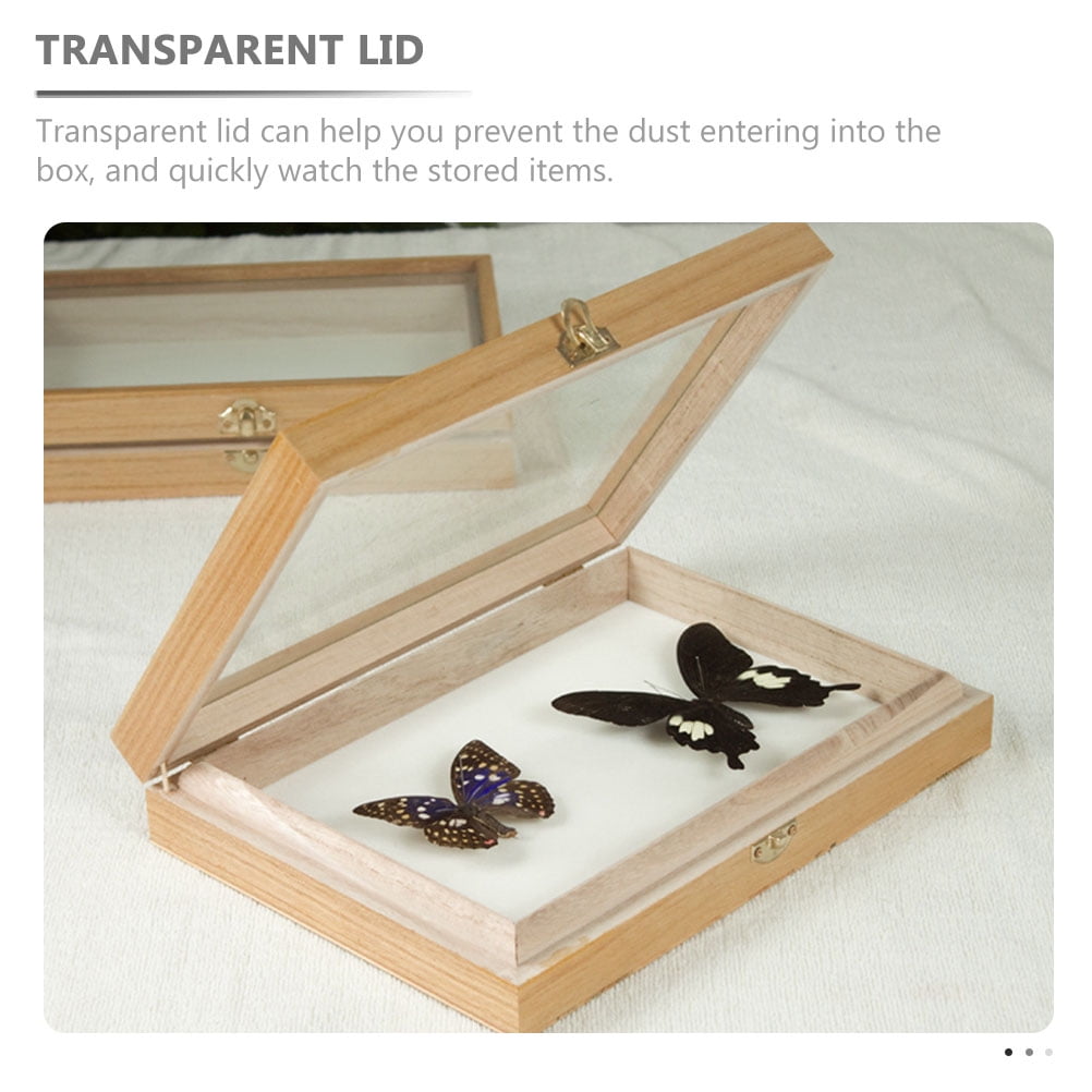 UPKOCH Memorial Shadow Box for Insect Specimen Dustproof Wooden 1Set ...