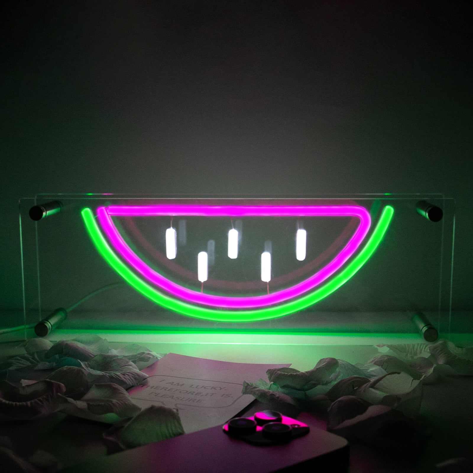 UPONRAY Watermelon Fruit Neon Light, Dimmable USB LED Desk Lightbox 3D ...