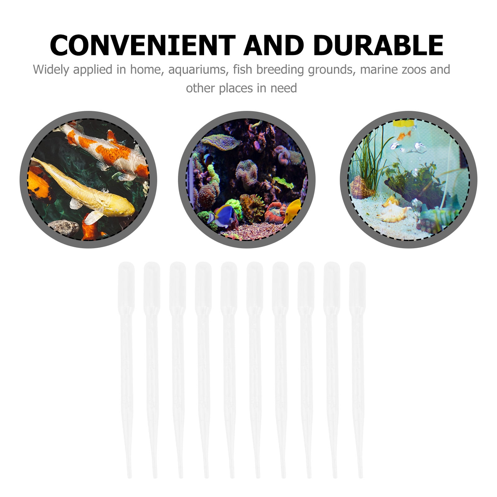 UPOUART 10Set Transparent Coral Feeders for Feeding Medicine and ...