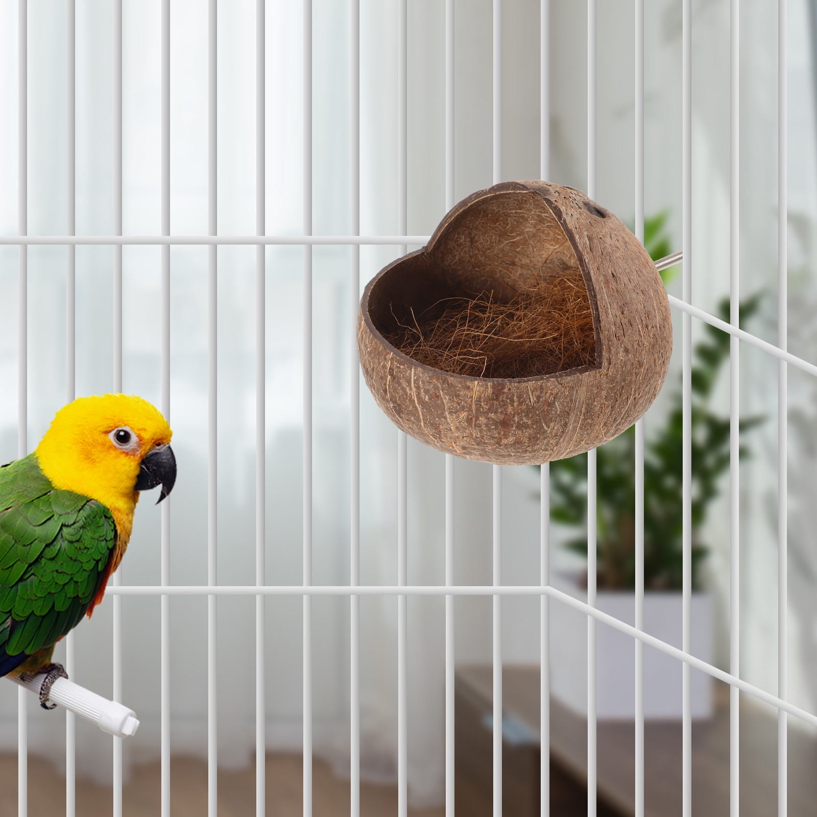 UPOUART Bird Coconut House Large Coconut Shell 1Pack 5.3x5.3x5.1in ...