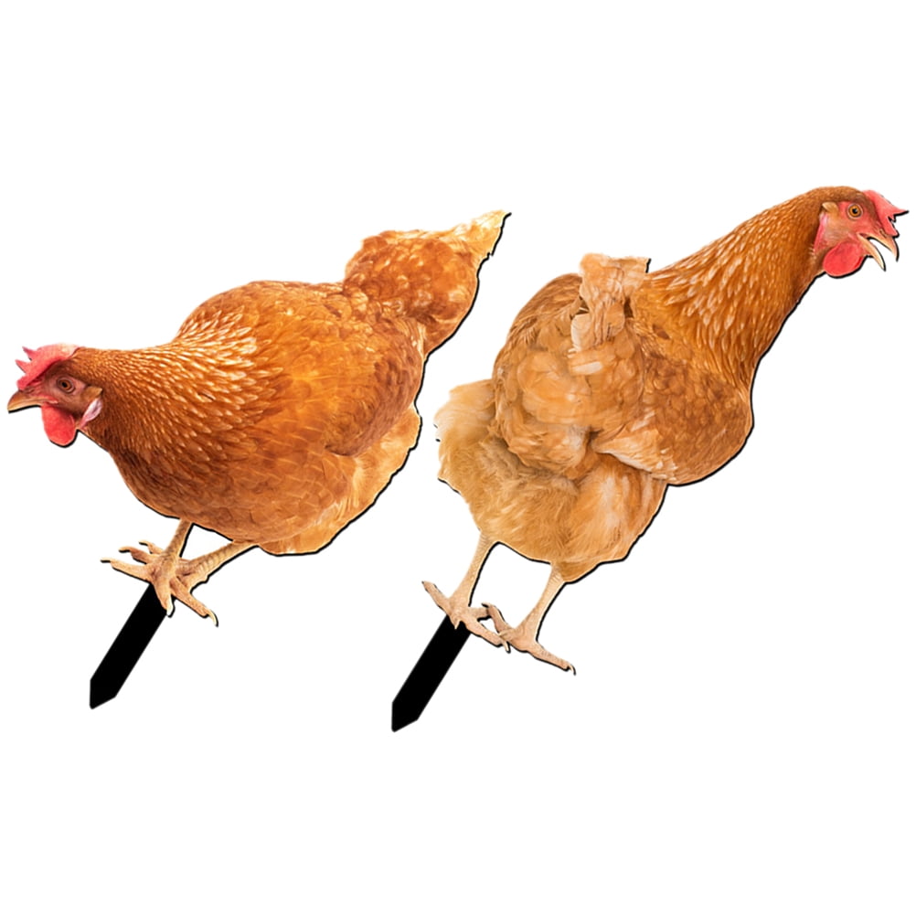 UPOUART 2Pcs Brown Acrylic Garden Chicken Stake Decorative Lawn Sign ...