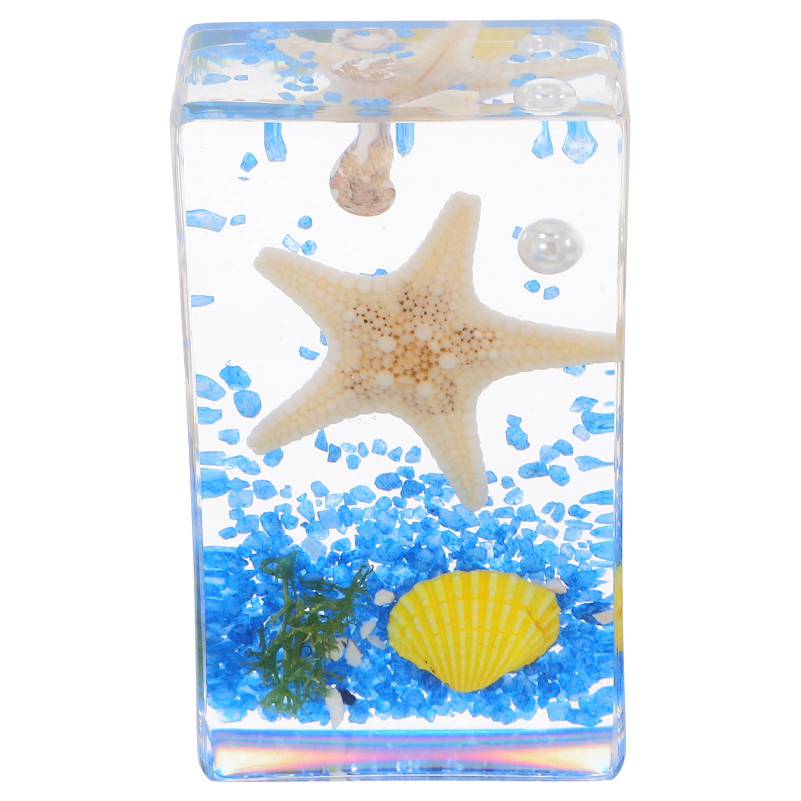 UPOUART Educational Marine Specimen Paperweight Sea Star Resin ...