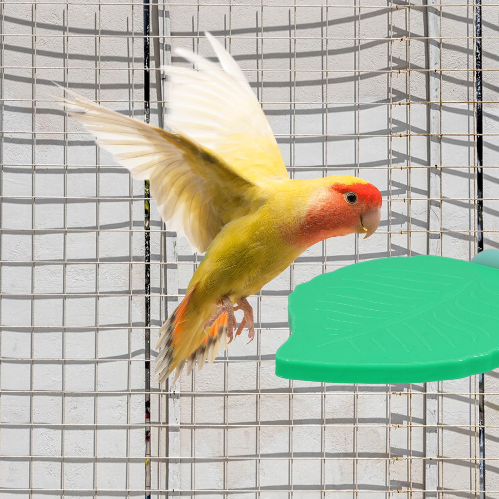 UPOUART Light Green Plastic Bird Perch Platform with Leaf Shape for ...