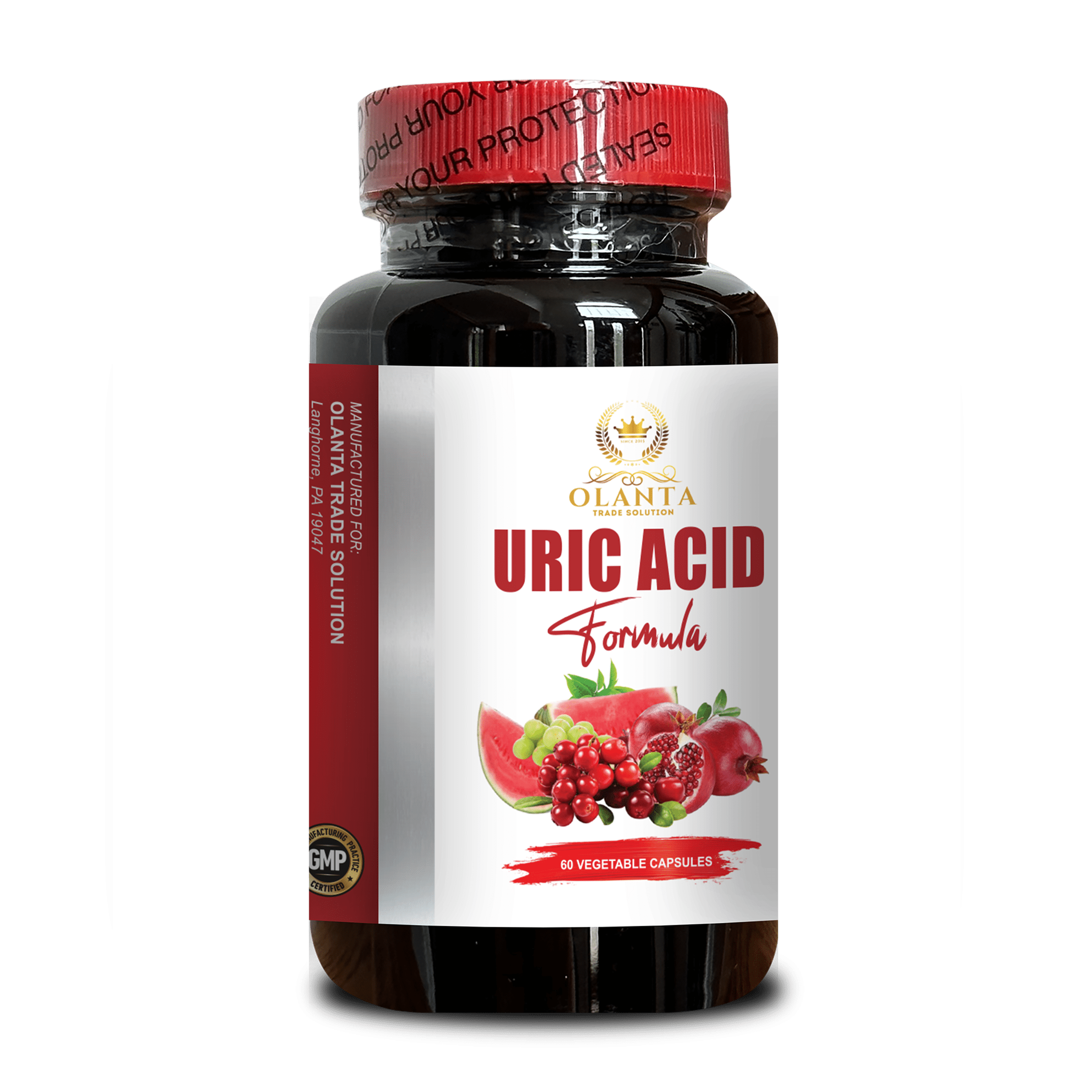 URIC ACID SUPPORT - Support Healthy Uric Acid Level, Joint Support ...