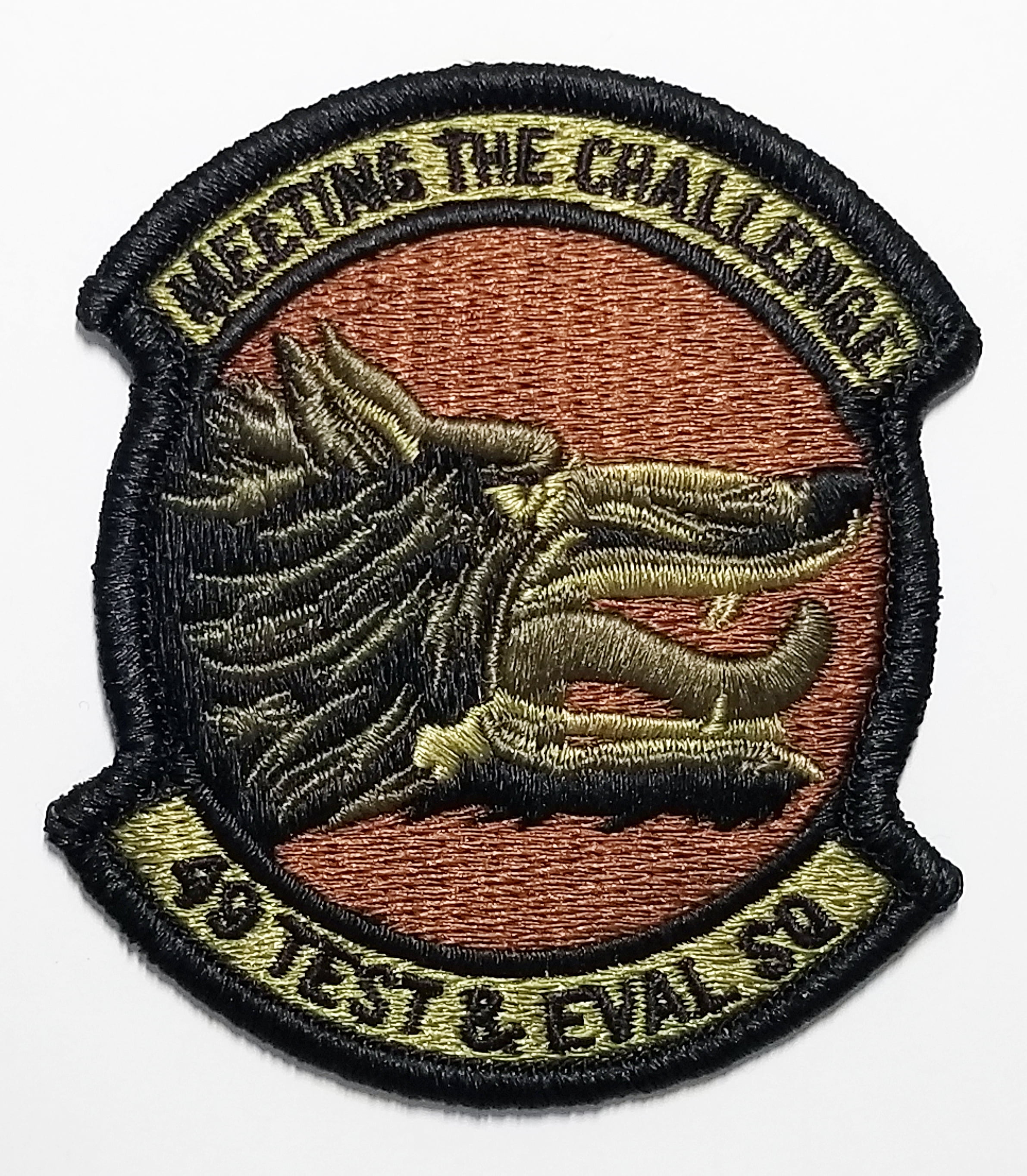 US Air Force 49th Test & Evaluation Squadron Subdued Hook Back Patch ...