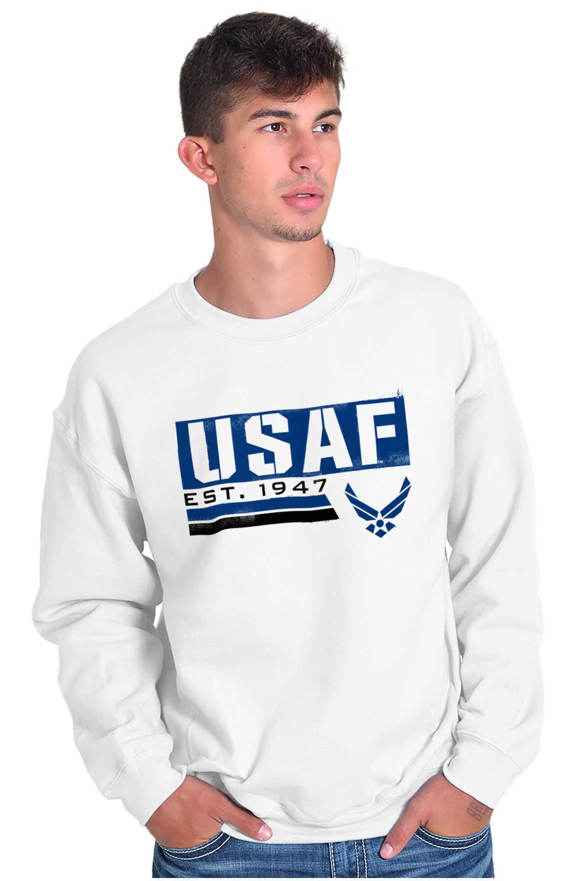 US Air Force USAF Est 1947 Logo Sweatshirt for Men or Women Brisco ...