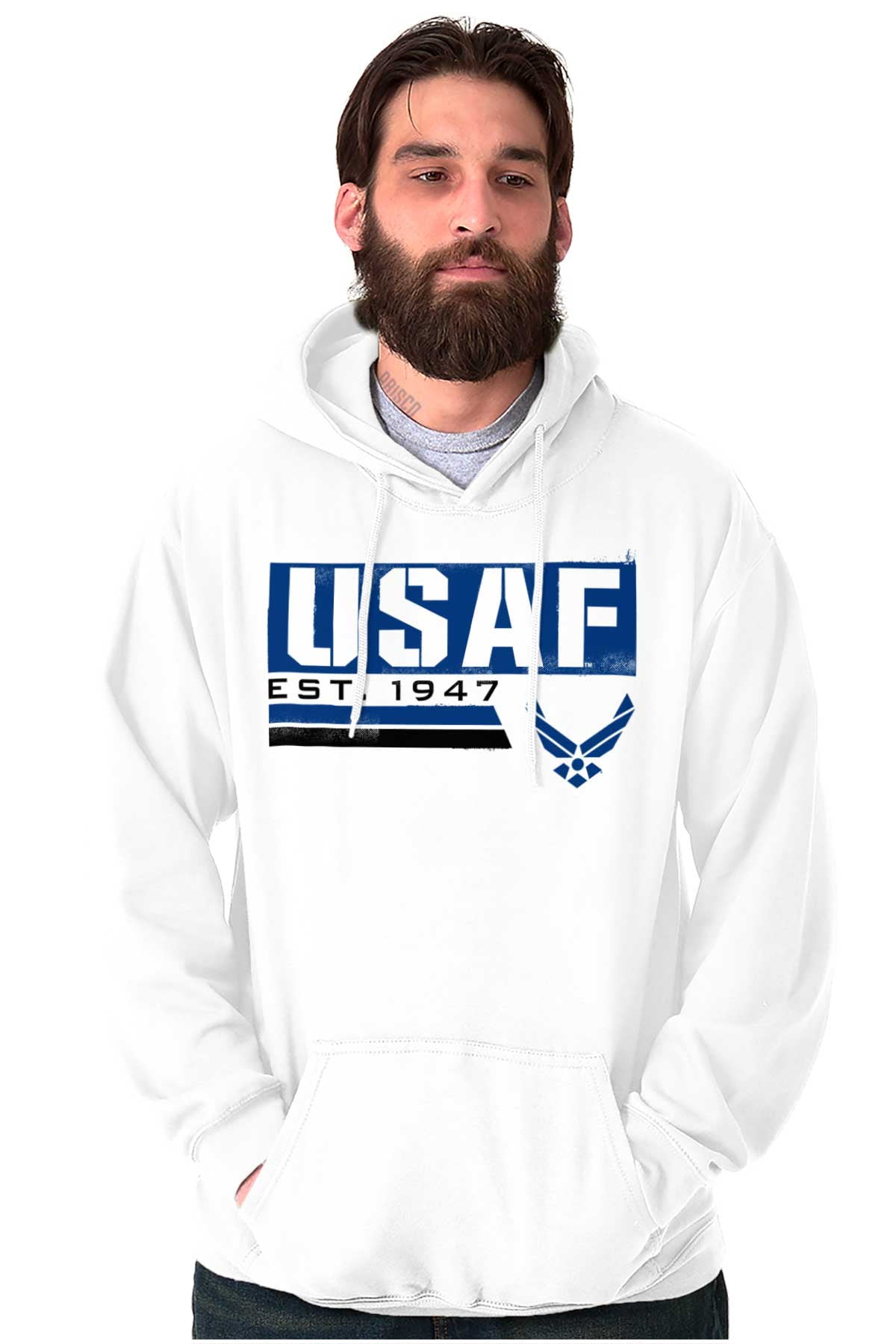 US Air Force USAF Est 1947 Logo Unisex Plus Size Hoodie Brisco Brands ...
