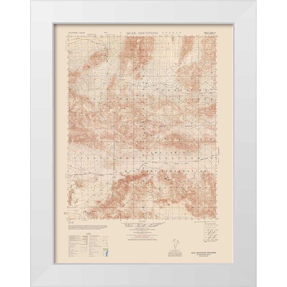 US Army 25x32 White Modern Wood Framed Museum Art Print Titled - Quail ...