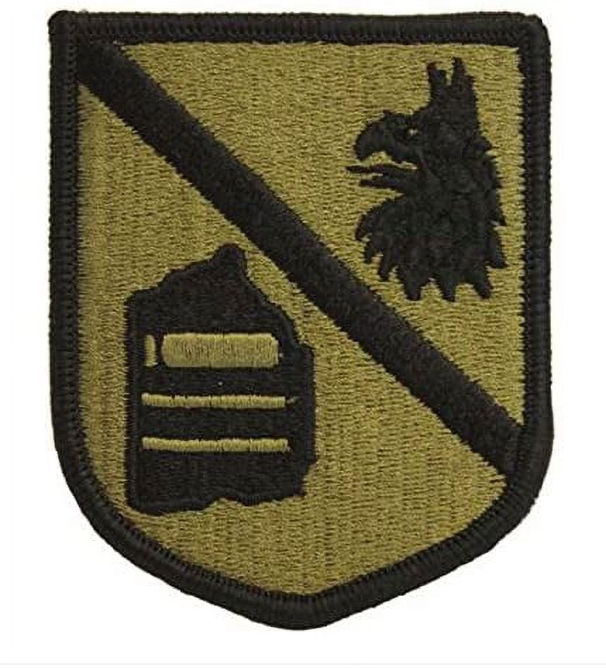 US Army Defense Language Institute OCP Hook-Back Military Patch ...
