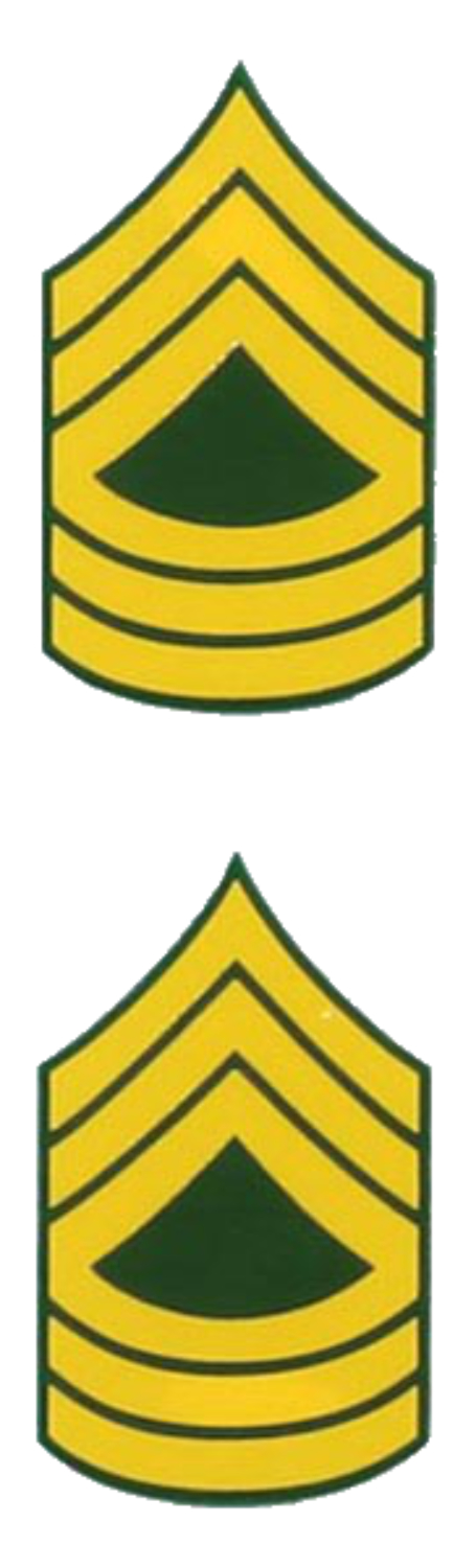 US Army E-8 MSG Rank 2-Piece 1 inch Master Sergeant Decals - Veteran ...