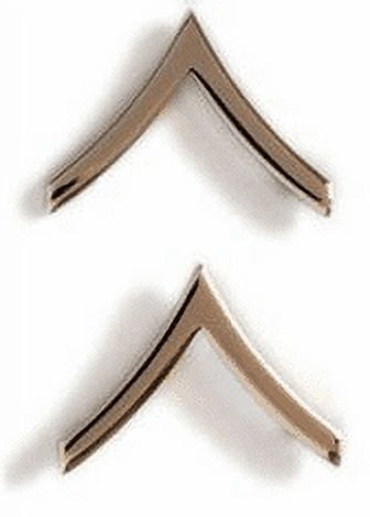 US Army Private Gold Collar Rank Insignia - Walmart.com