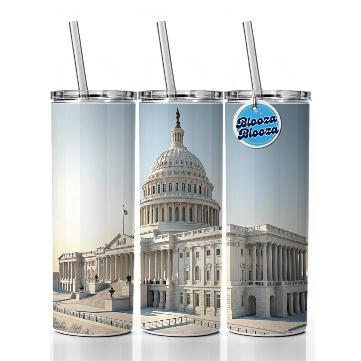 US Capitol Building Washington DC 20oz Insulated Water Bottle Skinny ...