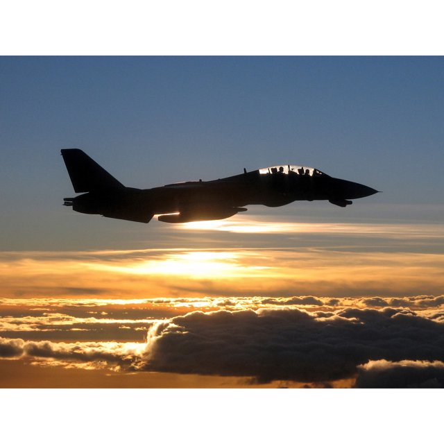 US Navy F14D Tomcat Fighter Jet Silhouette Extra Large XL Wall Art ...