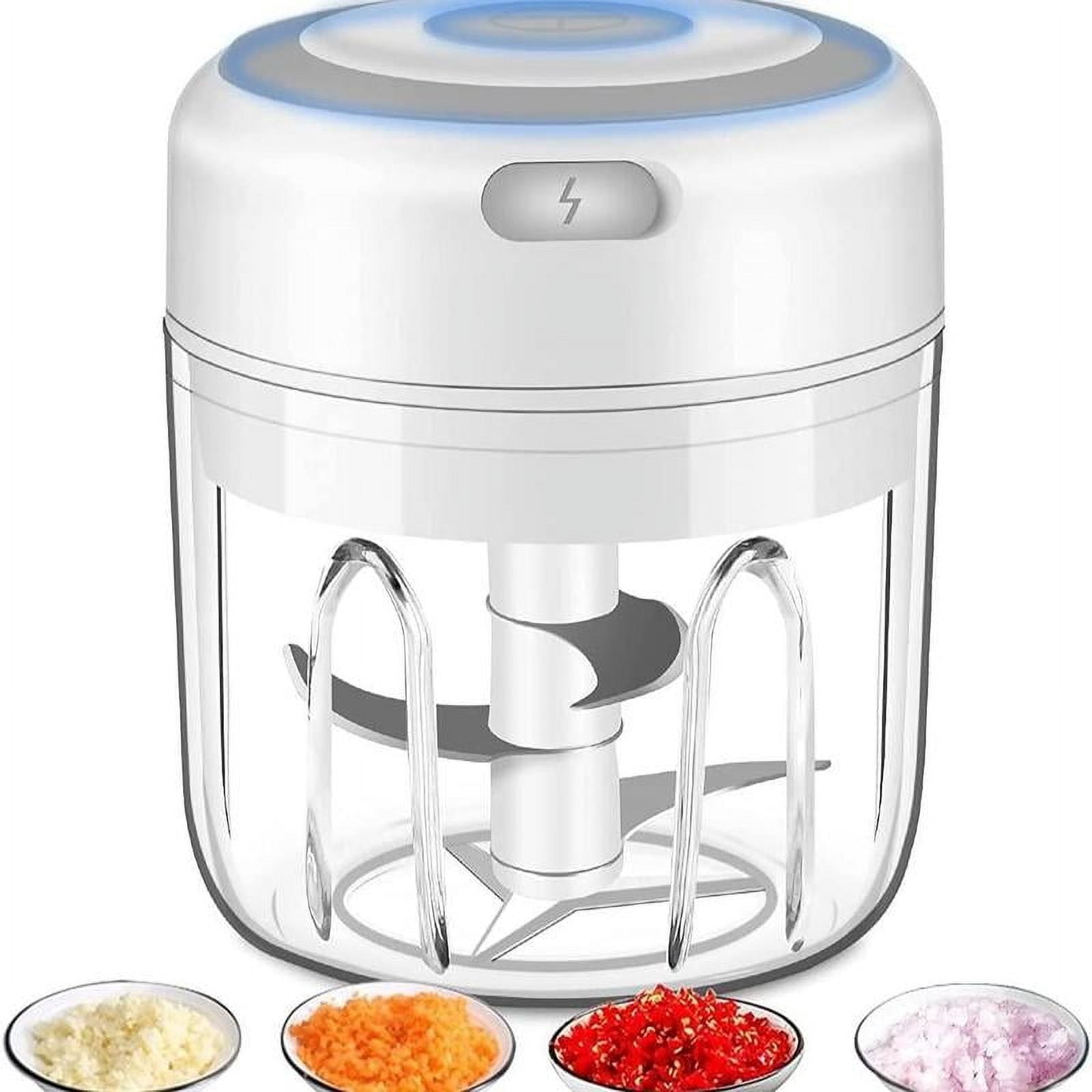 US Stock Mini Food Processor, Vegetable Garlic Chopper USB Meat Grinder ...