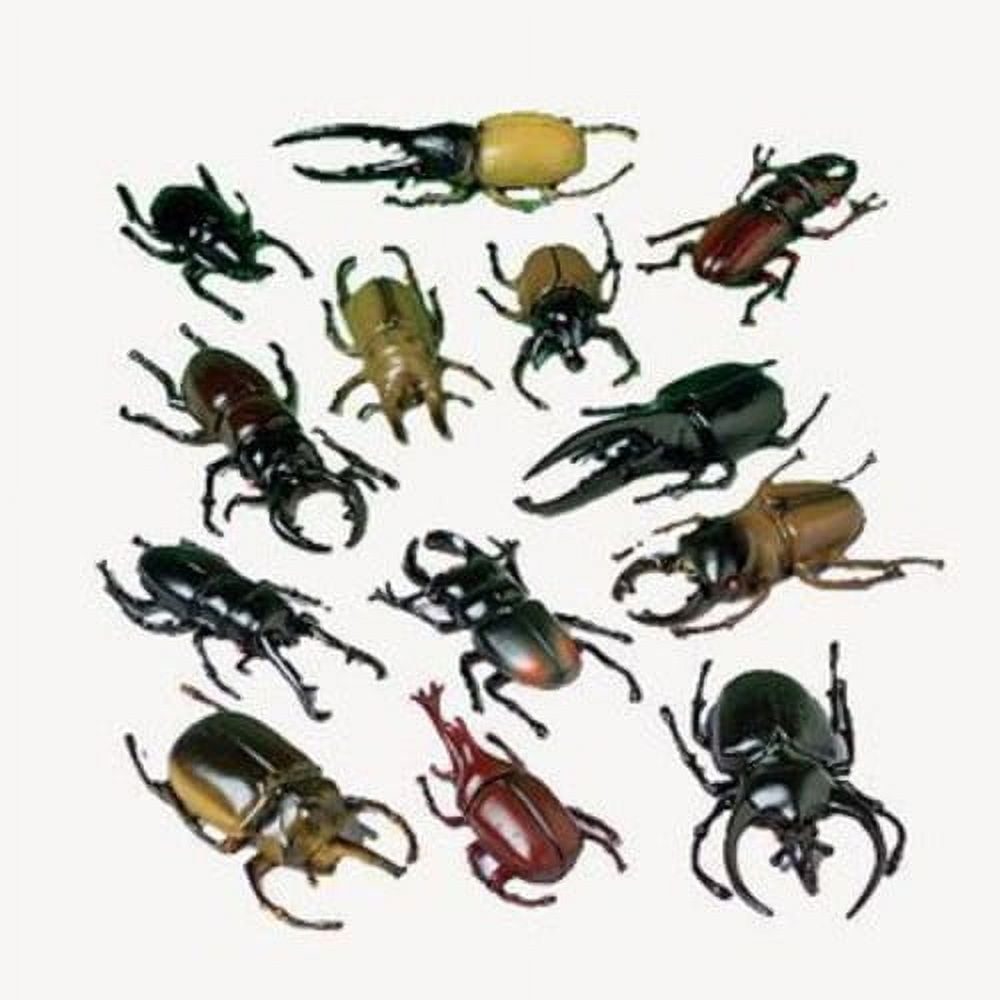 US Toy Scarab Beetles Assorted 12 Pack Fake Plastic Insect Bug Toys ...