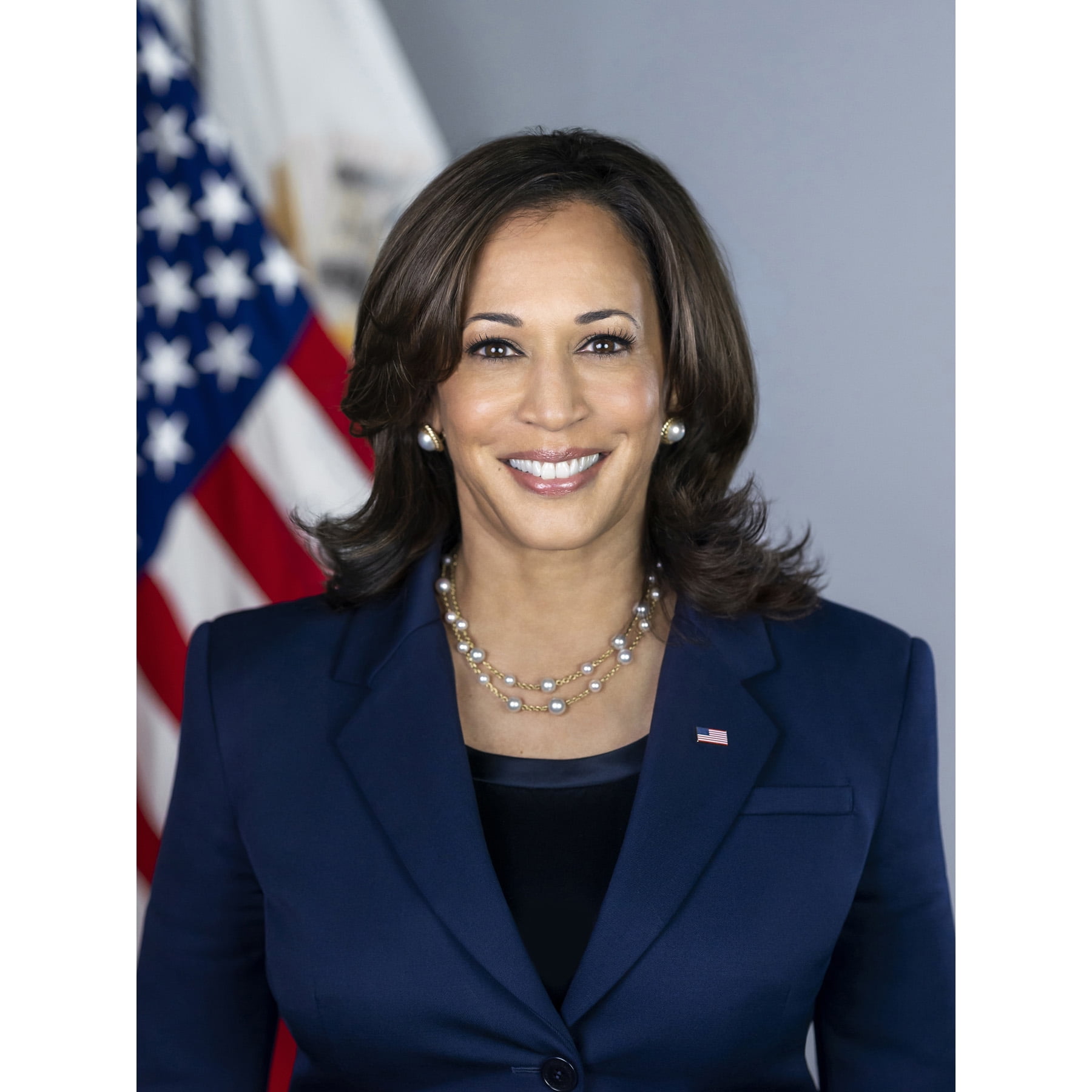 US Vice President Kamala Harris United States America Portrait Photo ...