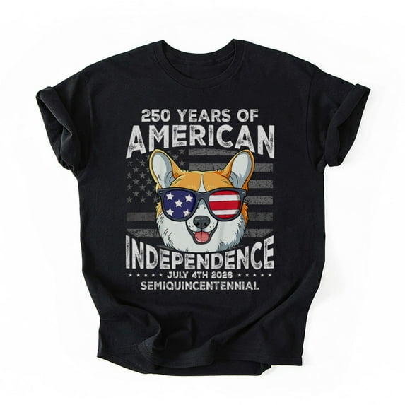 USA 250th Anniversary American Flag Us 4th Of July T-Shirt, 250 Years ...