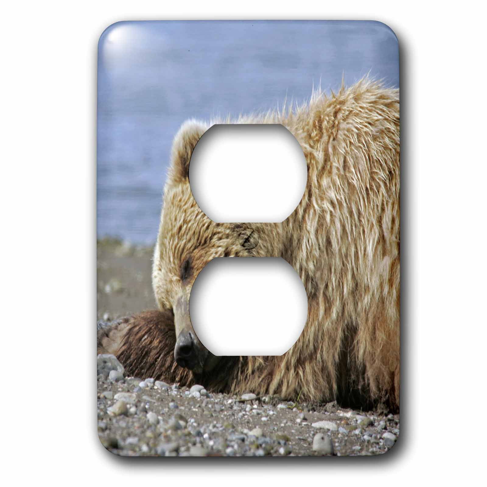 3dRose, USA, Alaska, Lake Clark NP, grizzly bear cub - US02 BJA0250 ...