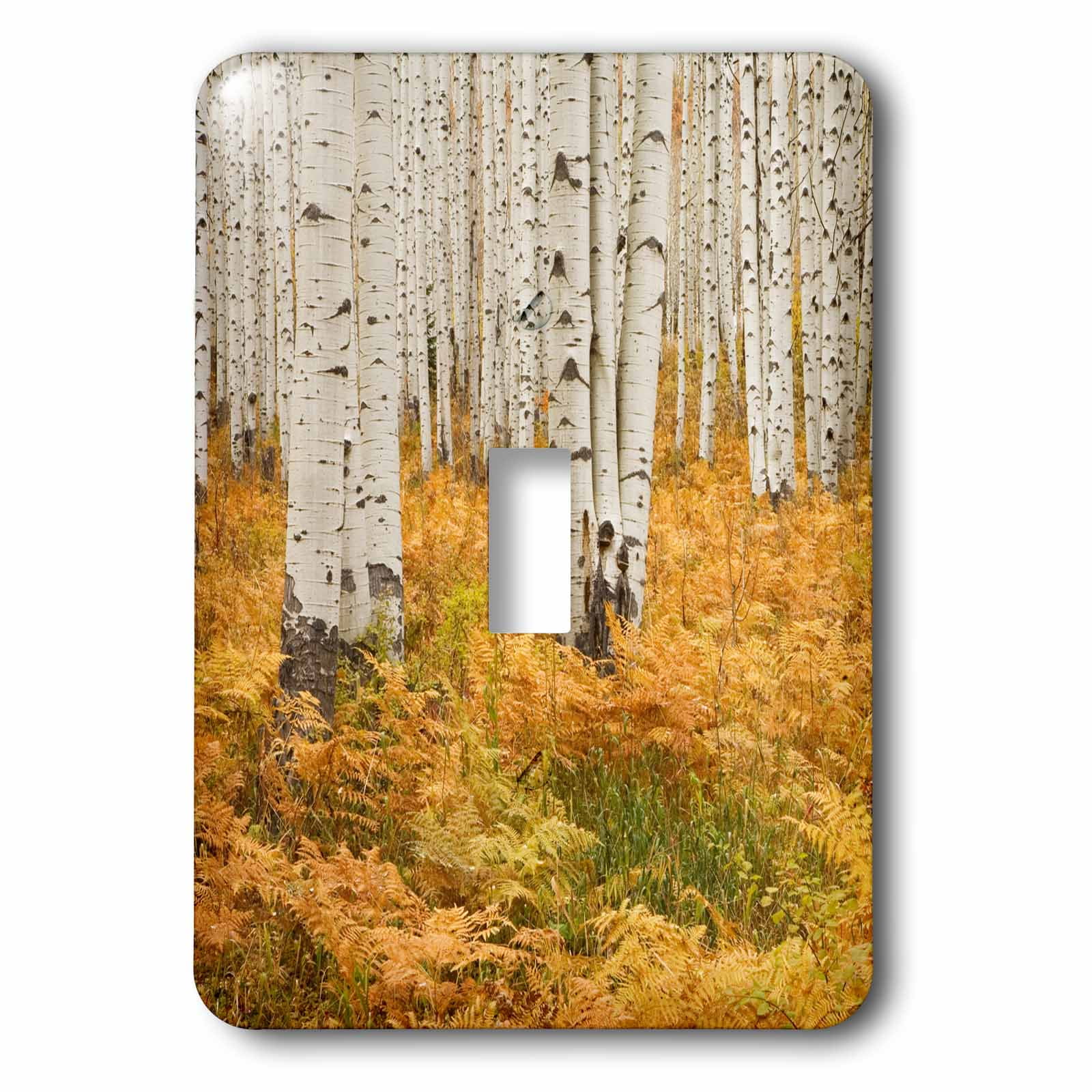 USA, Colorado. Aspens in White River National Forest. single toggle ...