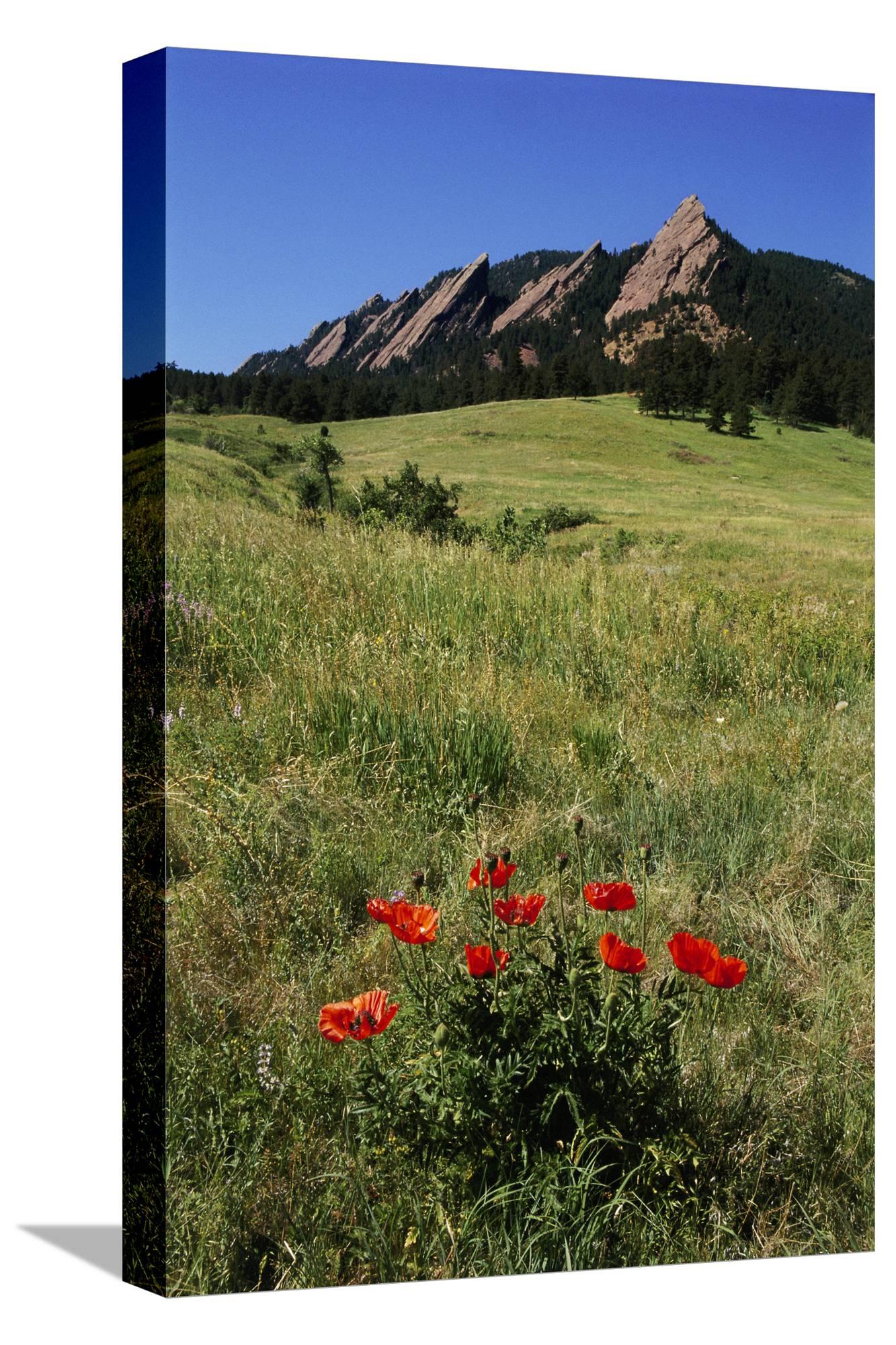 Art.com USA, Colorado, Boulder. Flatirons and Poppies at Chautauqua ...
