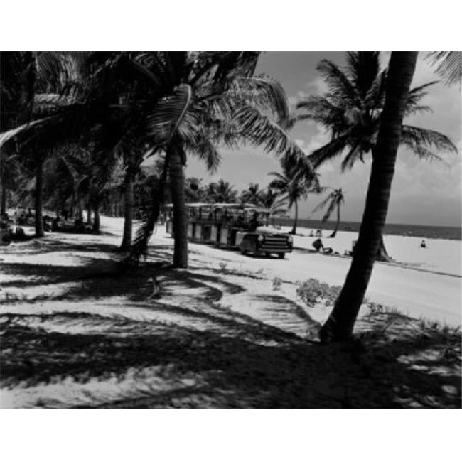 USA Florida Miami Key Biscayne Dade County Crandon Park Tourist Train ...